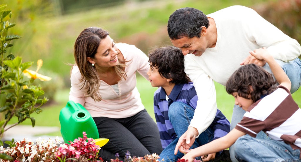 Coming home to a foster family - The SAFE Alliance