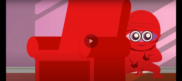 Be a safety ninja! - The SAFE Alliance